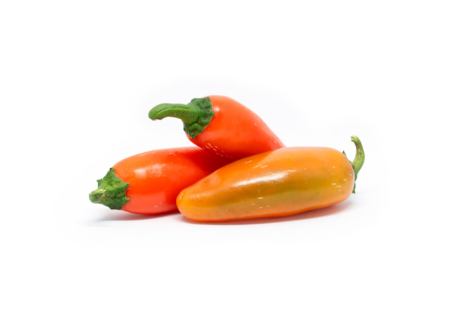 Jalapeno Orange Spice - Chilli Semínka | Chilli Pikanterie